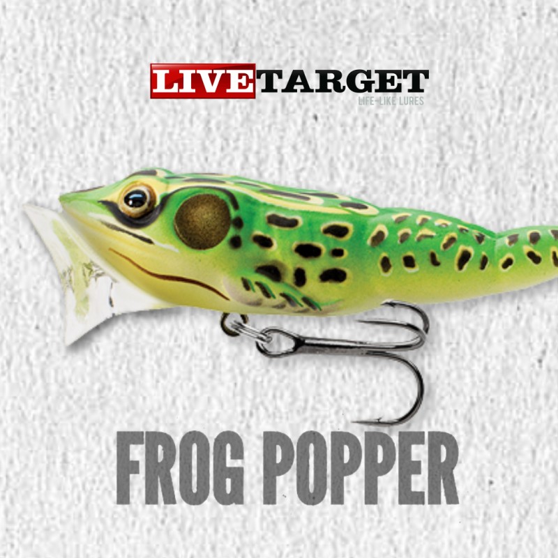 Amostra LiveTarget Frog Popper - TomarAventura